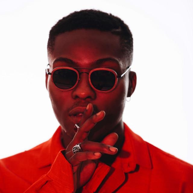 Rema Shirts, Rema Merch, Rema Hoodies, Rema Vinyl Records, Rema Posters ...