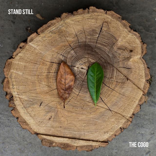 The Cogo Store: Official Merch & Vinyl