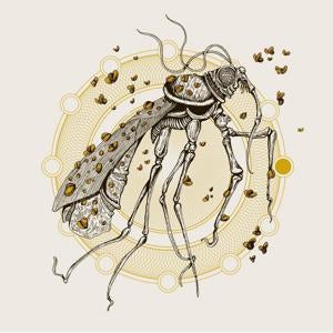 Akaname Store: Official Merch & Vinyl