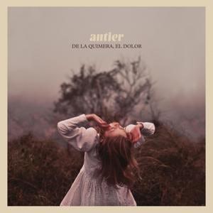 Antier Store: Official Merch & Vinyl