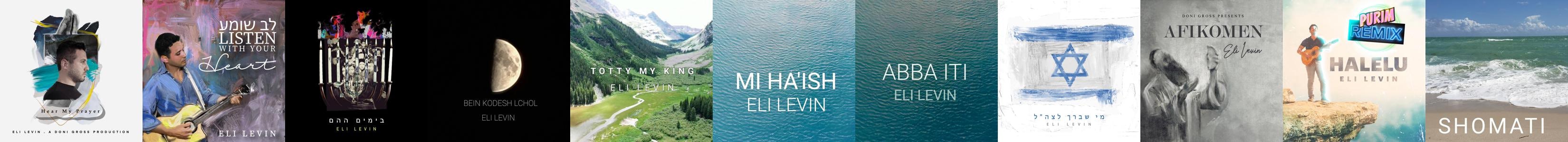 Eli Levin Store: Official Merch & Vinyl