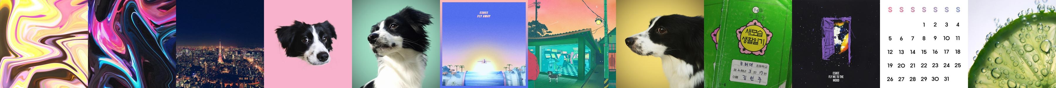 Esbee Store: Official Merch & Vinyl