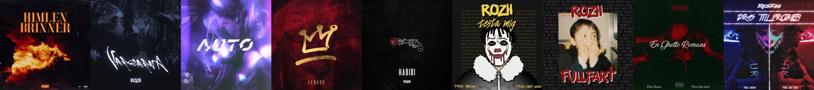 Rozh Store: Official Merch & Vinyl