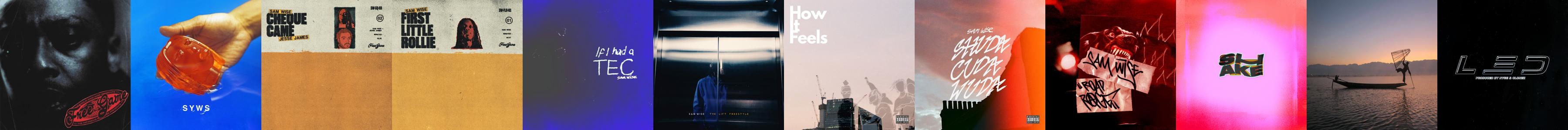 Sam Wise Store: Official Merch & Vinyl