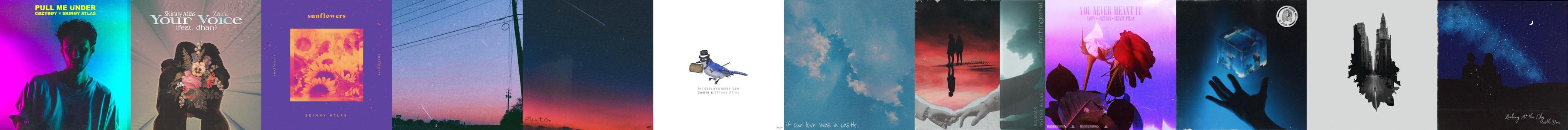 Skinny Atlas Store: Official Merch & Vinyl