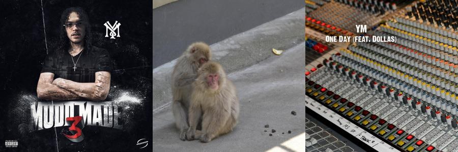 YM Store: Official Merch & Vinyl