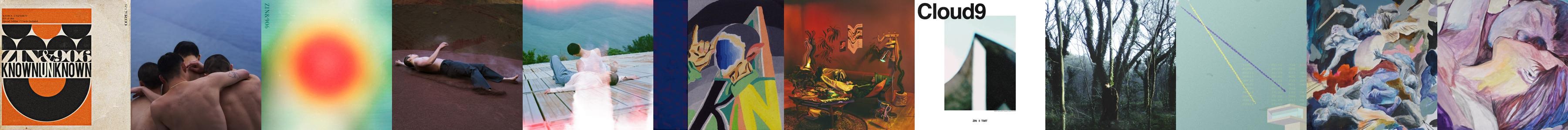 ZIN Store: Official Merch & Vinyl